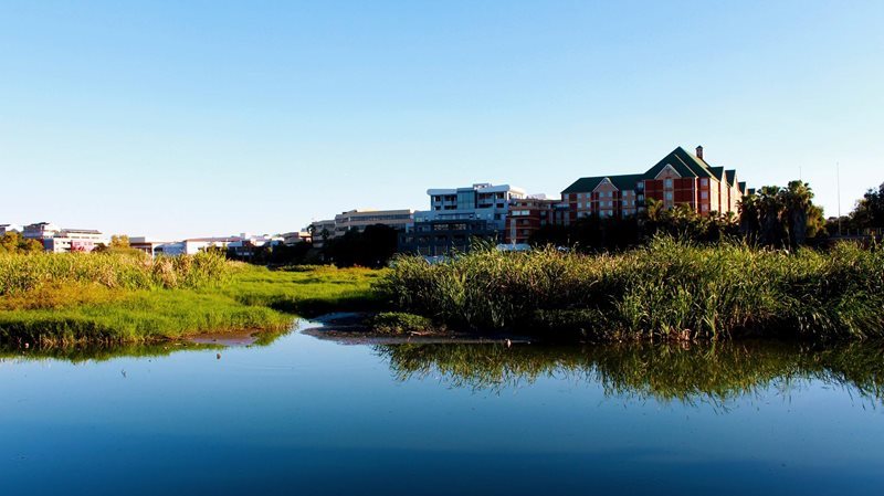 Car Hire Centurion - Cheap Car Rental Centurion | Rhino